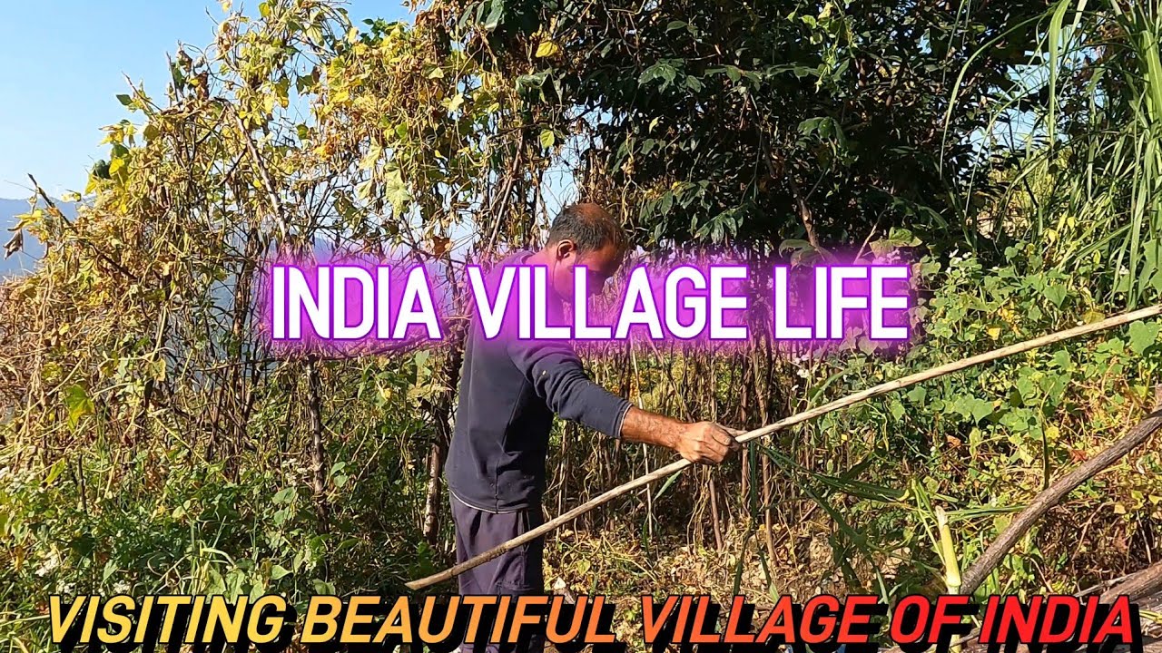 Beautiful India Village Traditional Life Of India ।Peace And Relaxing ...