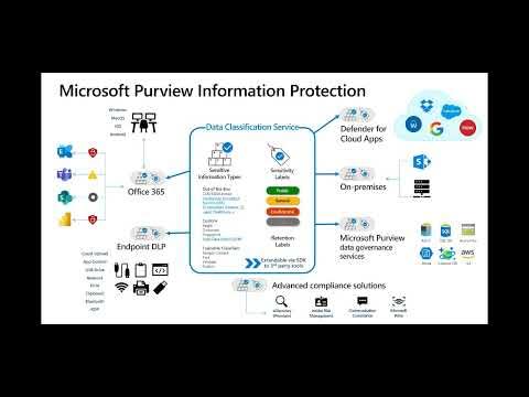 Data Security: Microsoft Purview Information Protection Manager vs ...