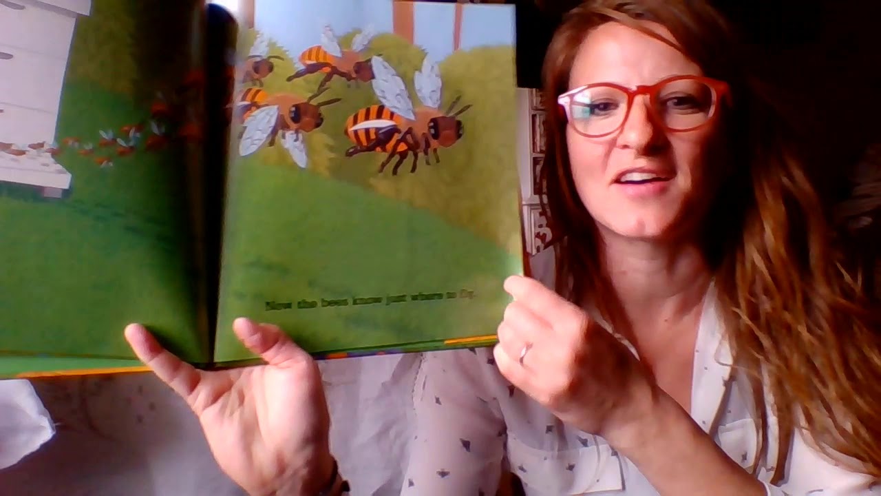 Bee Dance by Rick Chrustowski - YouTube