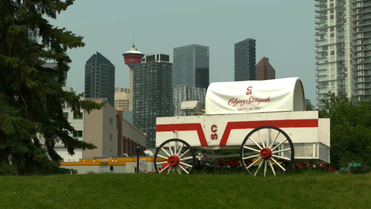Campaign Politics - Calgary Skyview - YouTube