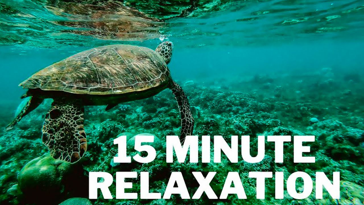 15 Minute Relaxation and Self Care Beach Wave Ambience - YouTube