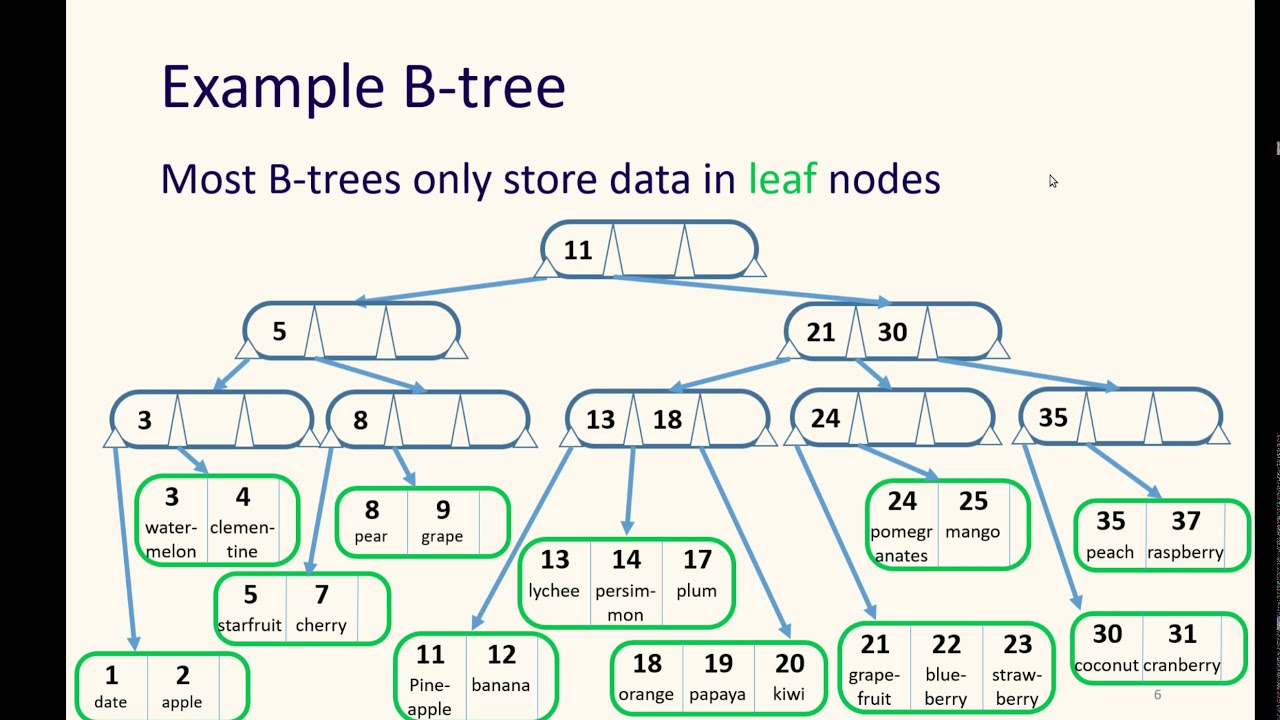 2 3 4 Trees YouTube