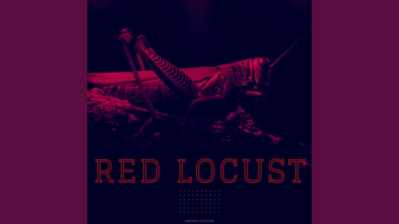 Red Locust - YouTube