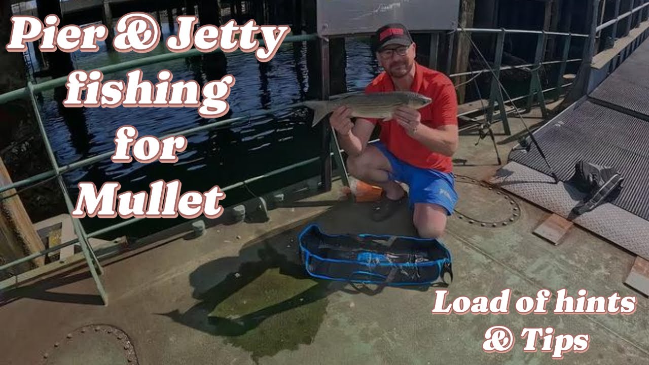 Pier & Jetty Mullet Fishing - YouTube