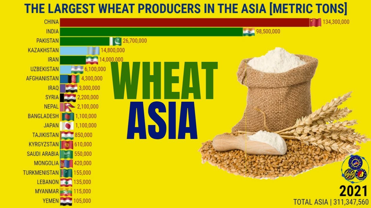THE LARGEST WHEAT PRODUCERS IN THE ASIA - YouTube