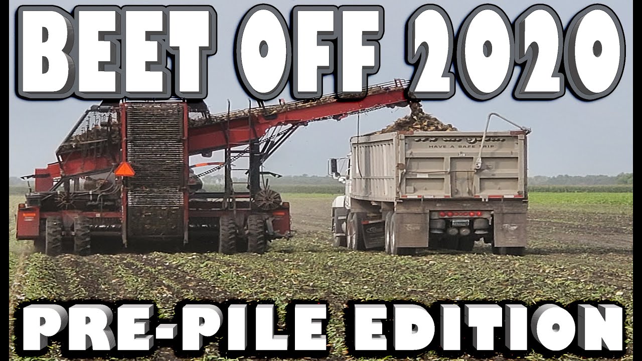 BEET OFF 2020 - Prepile Edition - Minnesota Farming Life - YouTube
