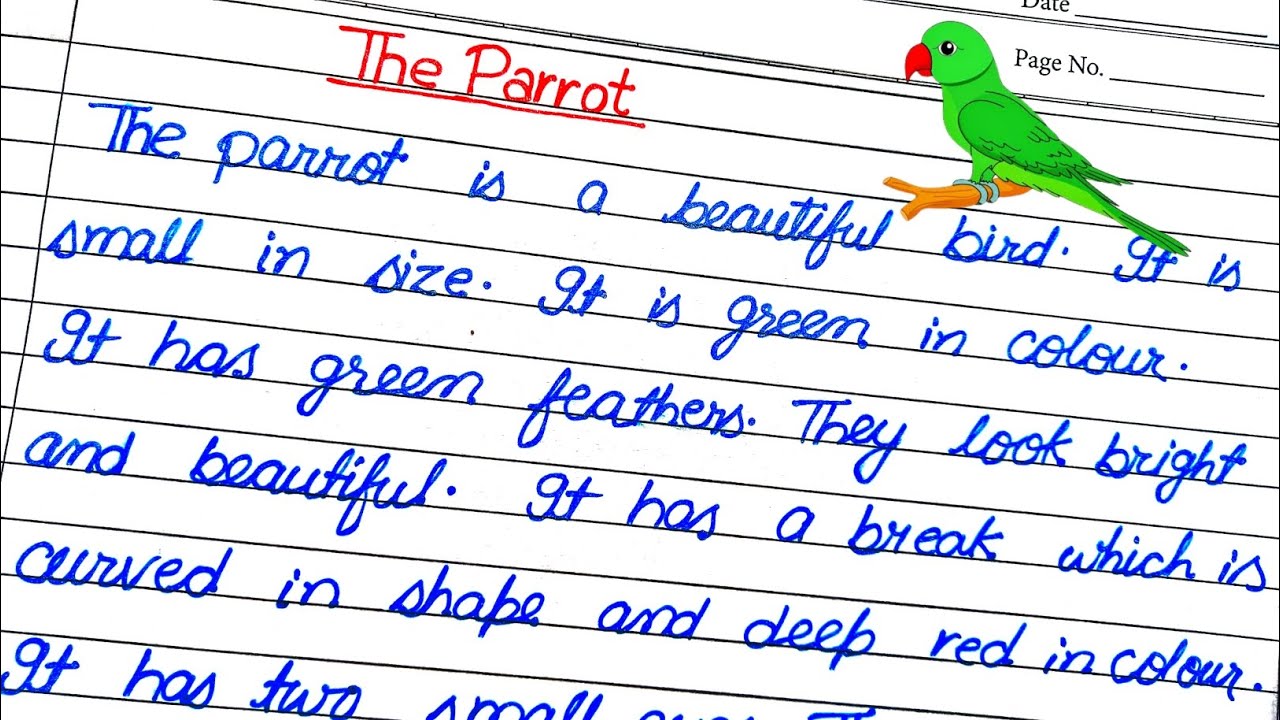 Parrot essay in English / 10 Lines essay on parrot in english / Parrot ...