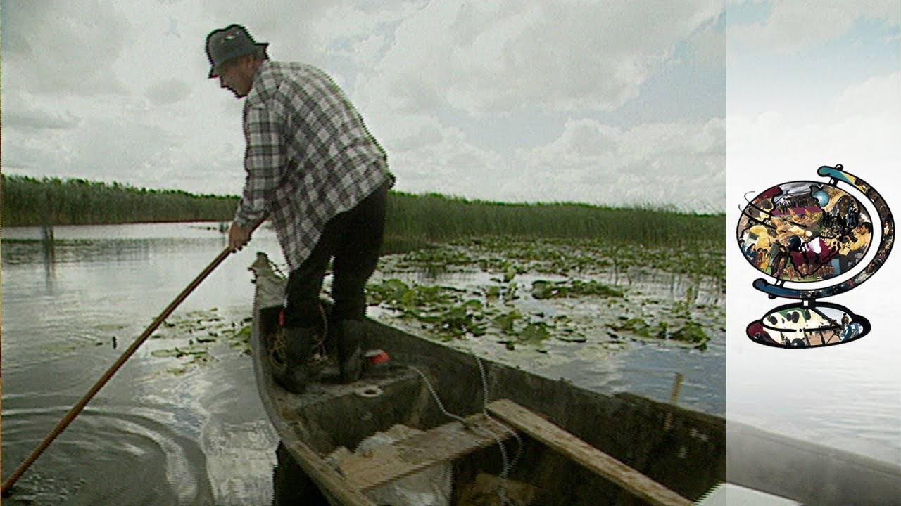 From Dead Zone to Fertile Delta - The Romanian Danube - YouTube
