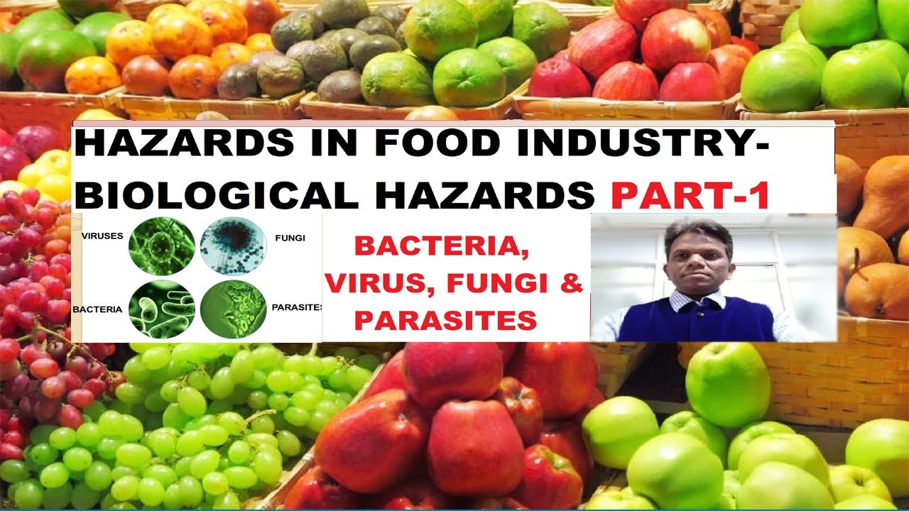 HAZARDS in Food Industry Biological Hazards Part 1 - YouTube