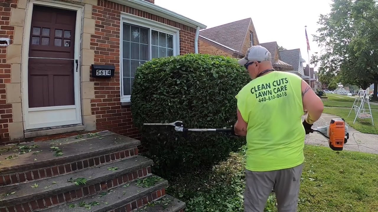 Shrub season. Trim em all. - YouTube