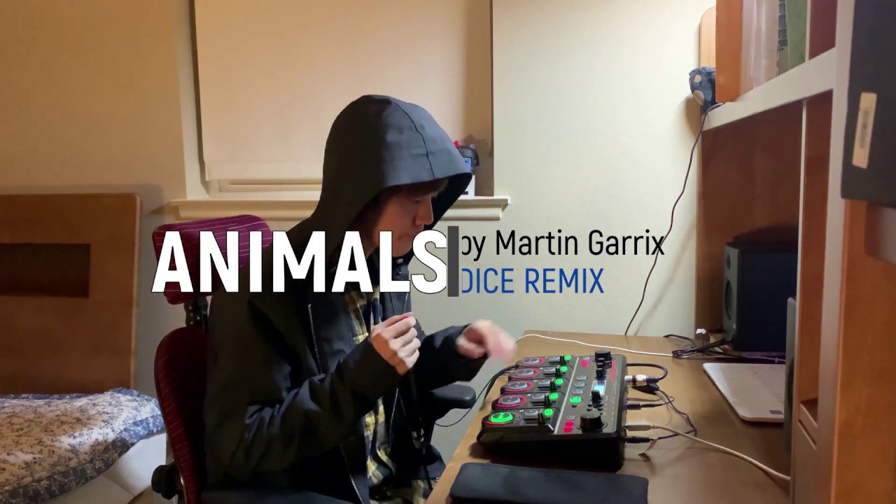 DICE - Martin Garrix "Animals" remix (DROPS!) // Loopstation Beatbox ...