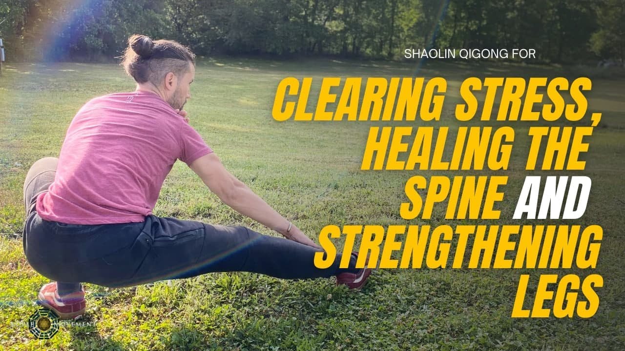 Shaolin Qigong for Clearing Stress, Healing the Spine and Strengthening ...