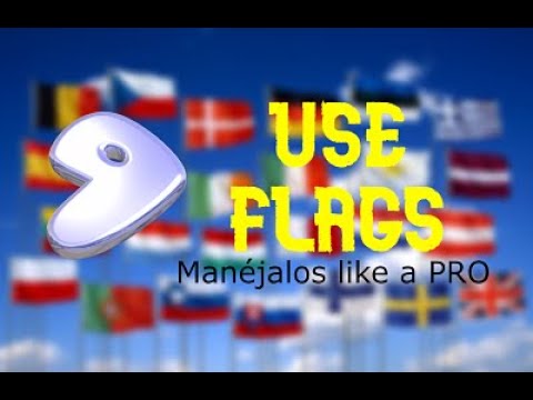 USE Flags, ¿Qué son y cómo manejarlas? Explicado - YouTube