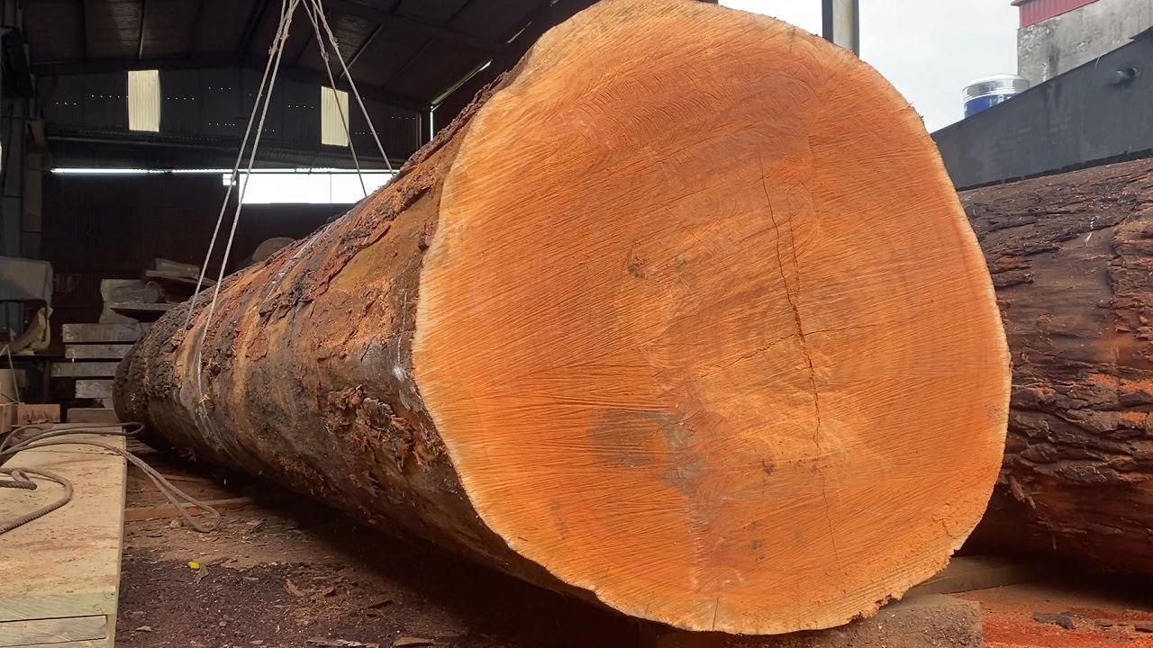 Extreme Wood Processing Technology - Cutting Super Large Wood Millions ...