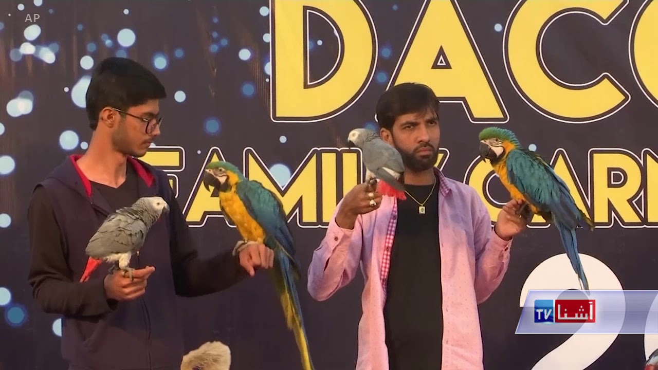 World interesting news round up - VOA Ashna - YouTube