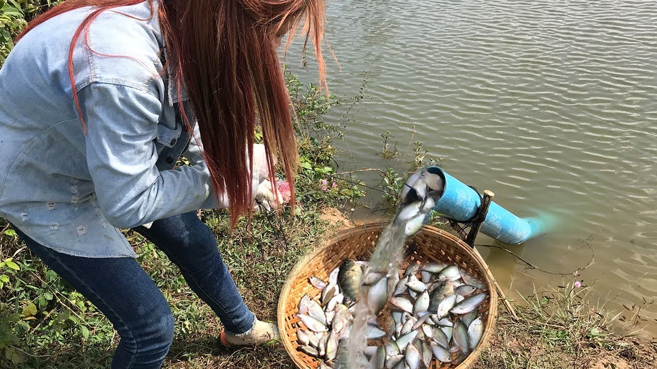 Believe This Fishing? Unique Fish Trapping System | New Technique Of ...