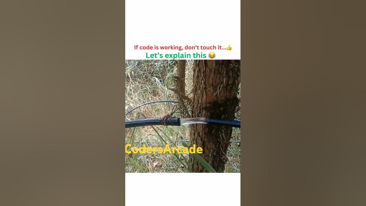 If code is working, don't touch it... Let's explain this #shorts #codinglife - YouTube