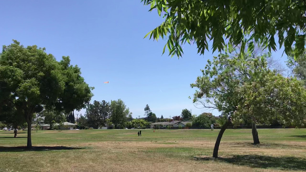 Green screen kite in park zoom background - YouTube