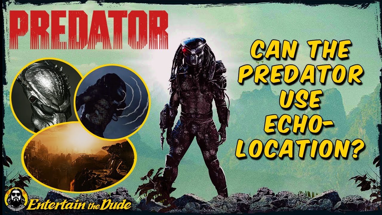 PREDATOR - THEORY - Can They Use Echolocation to Hunt? - YouTube