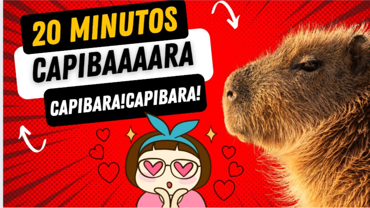 20 Minutos de Capivaras fofinhas! Relaxe e sorria , ela é amigona de ...
