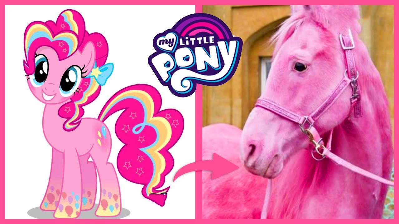My Little Pony Characters IN REAL LIFE 2023 👉 @sweetponylife - YouTube