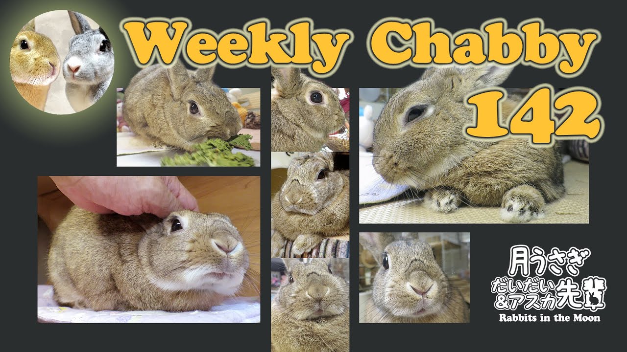 Weekly Chabby 142 - YouTube