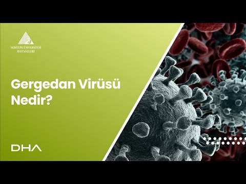 Gergedan Virüsü Nedir?