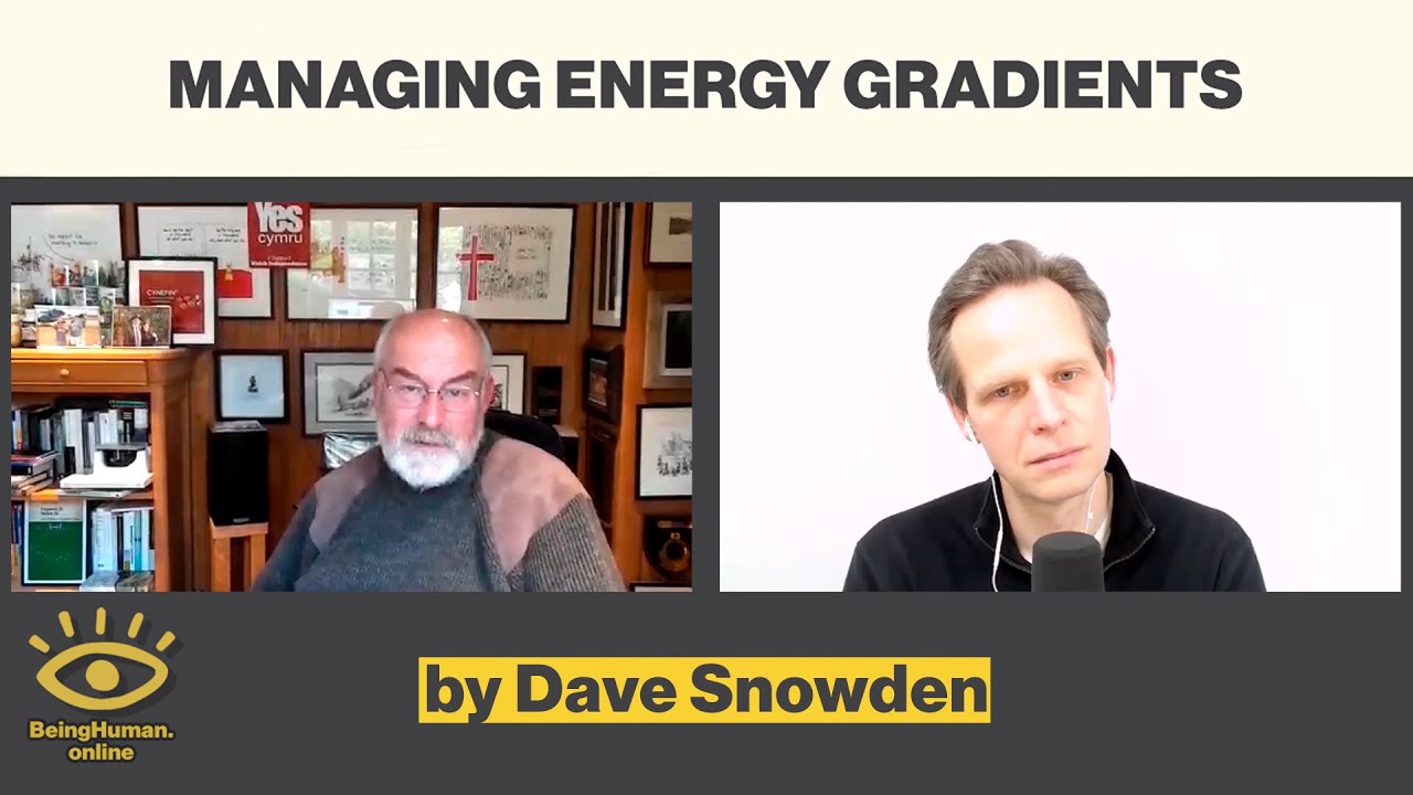 Dave Snowden - Managing Energy Gradients - from Being Human #149 - YouTube