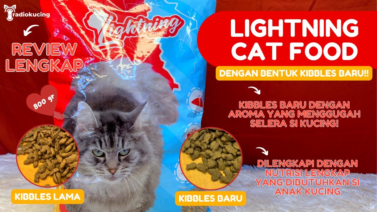 Review Dry Food Lightning Cat Food Perbandingan dengan Kibbles Baru ...
