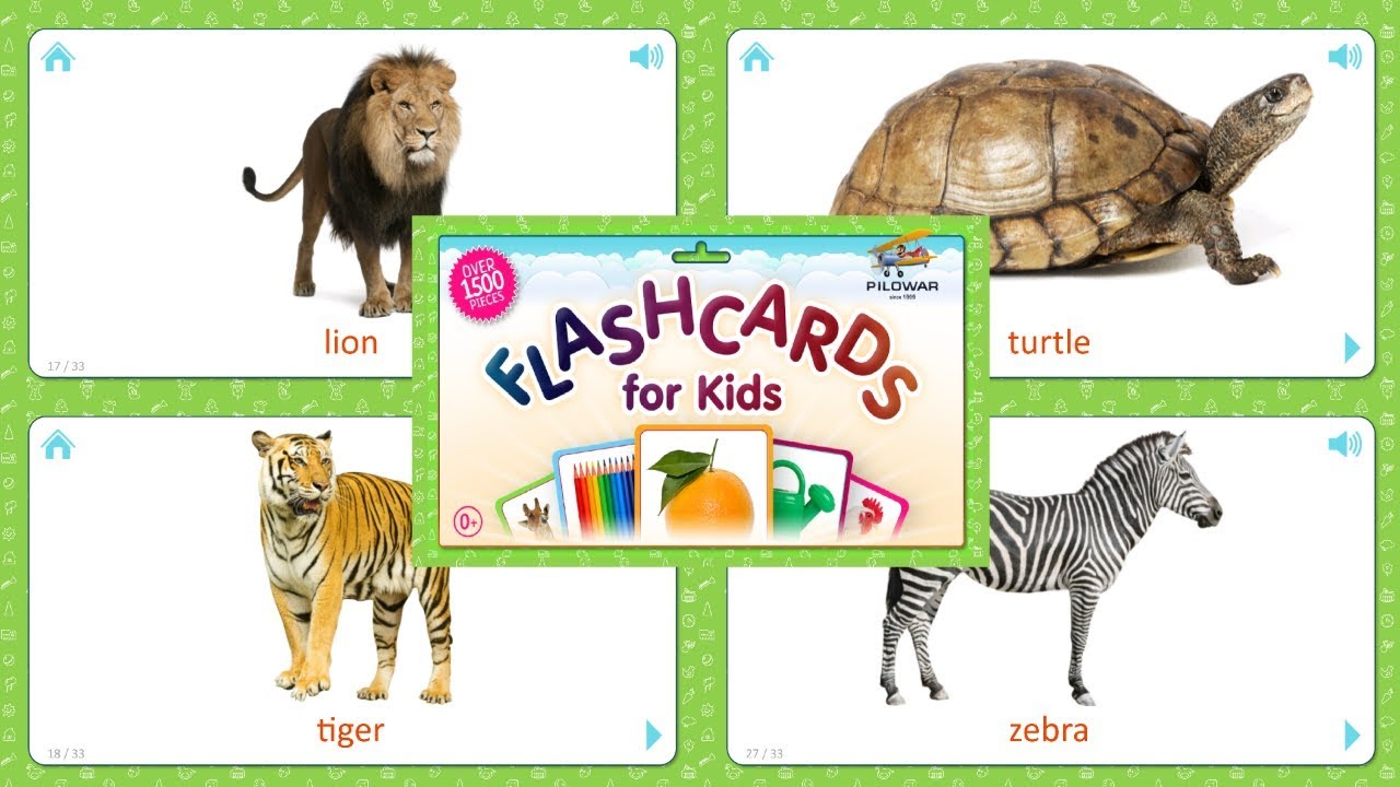 Wild Animals (17 Cards - Part 2) Flashcards for Kids - YouTube