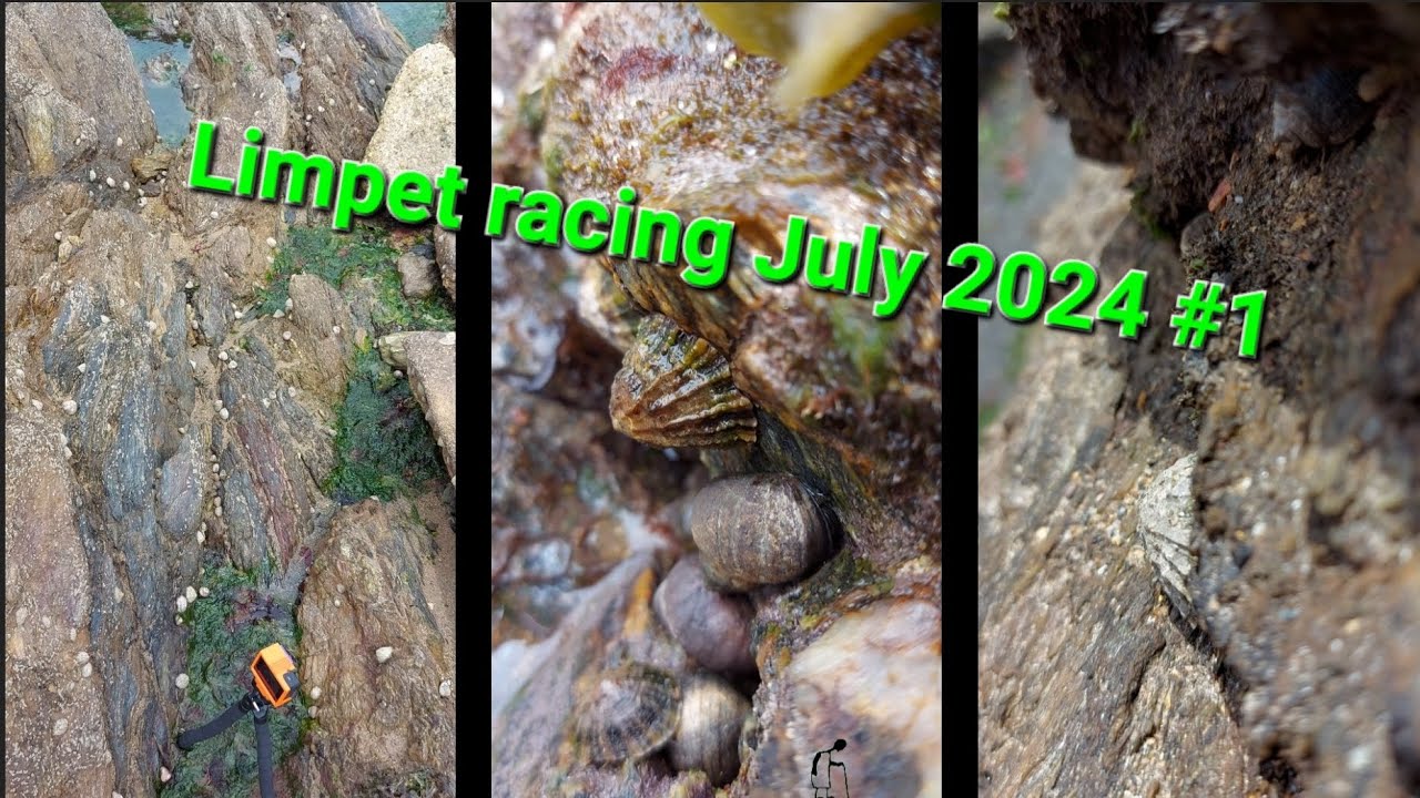 Limpet Racing July 2024/1 - YouTube