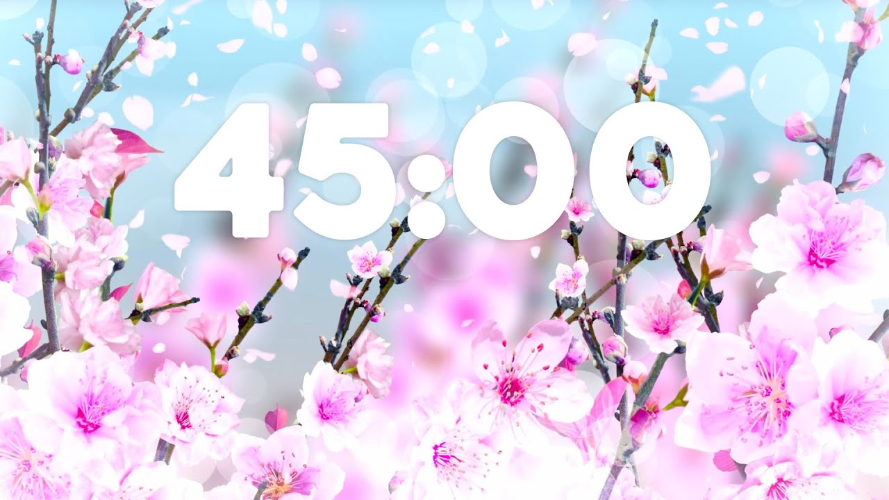 45 Minute Relaxing Spring Timer 🌸 - YouTube