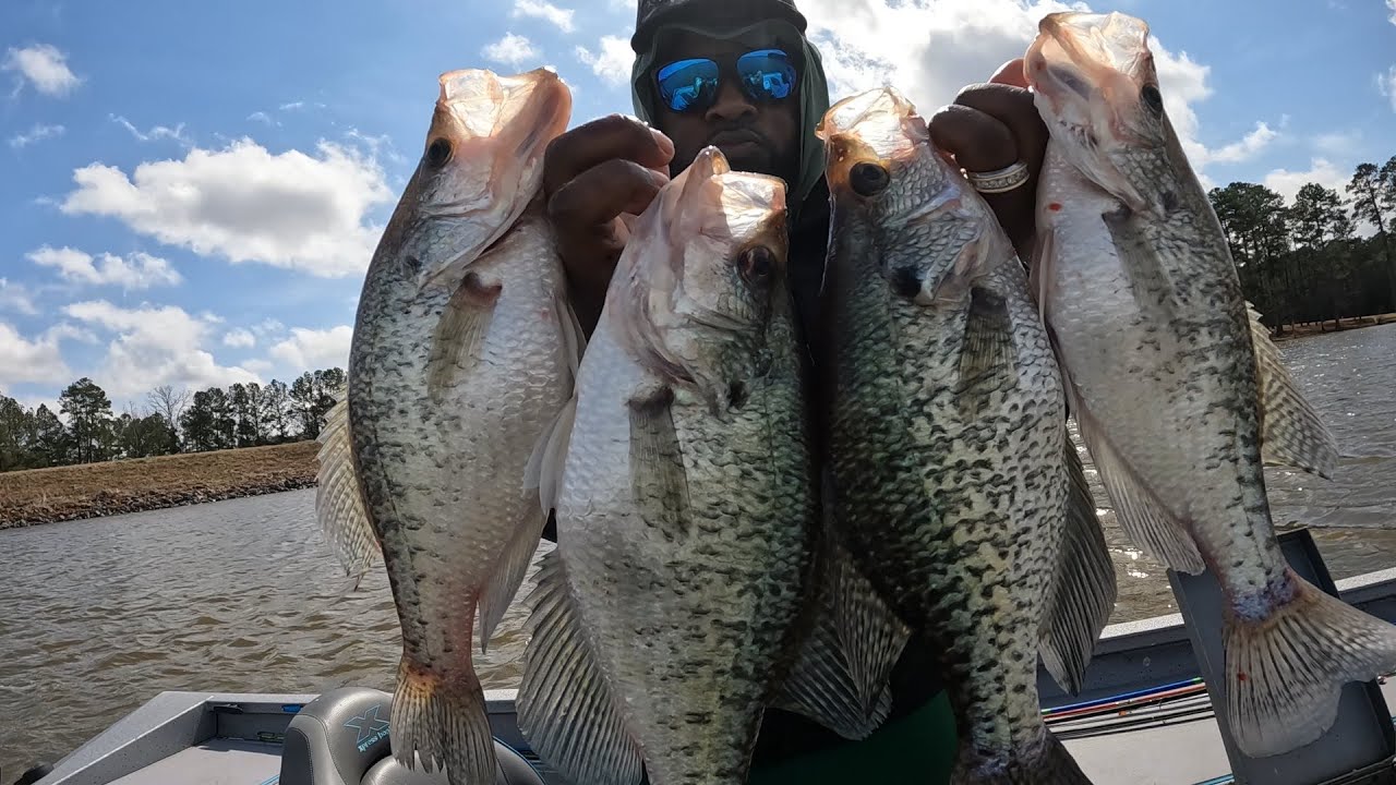 AMAZING PRE-SPAWN CRAPPIE "IN ATTACK MODE" - YouTube