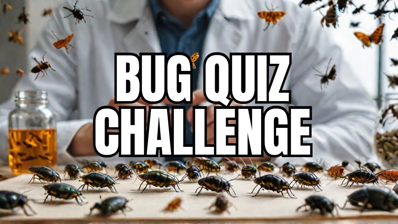 The Ultimate Bug Quiz 10 General Knowledge Questions To Challenge Your Insect Knowledge Youtube