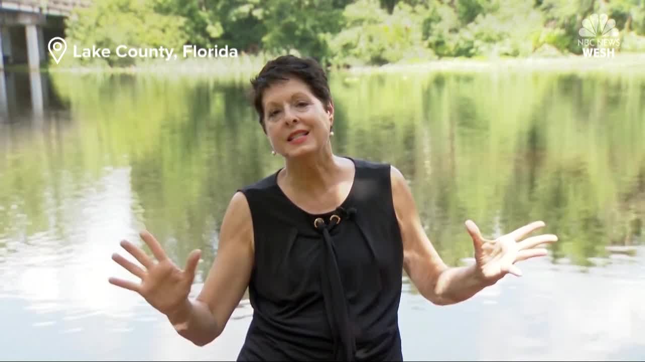 Gator Traps Girl In Tree - YouTube