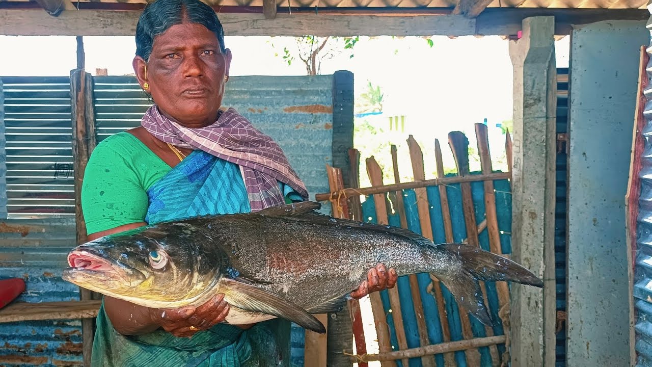 Amazing | கடவுளால் மீன் | Kadora FISH தவமனி அக்கா வெட்டும் காட்சி🔥🔥🔥 ...