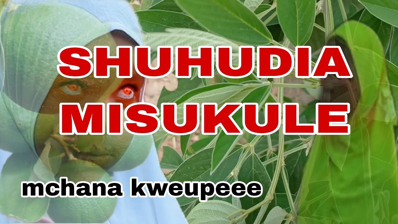 SHUHUDIA MISUKULE MCHANA KWEUPE kama muoga usiangalie tafadhali - YouTube