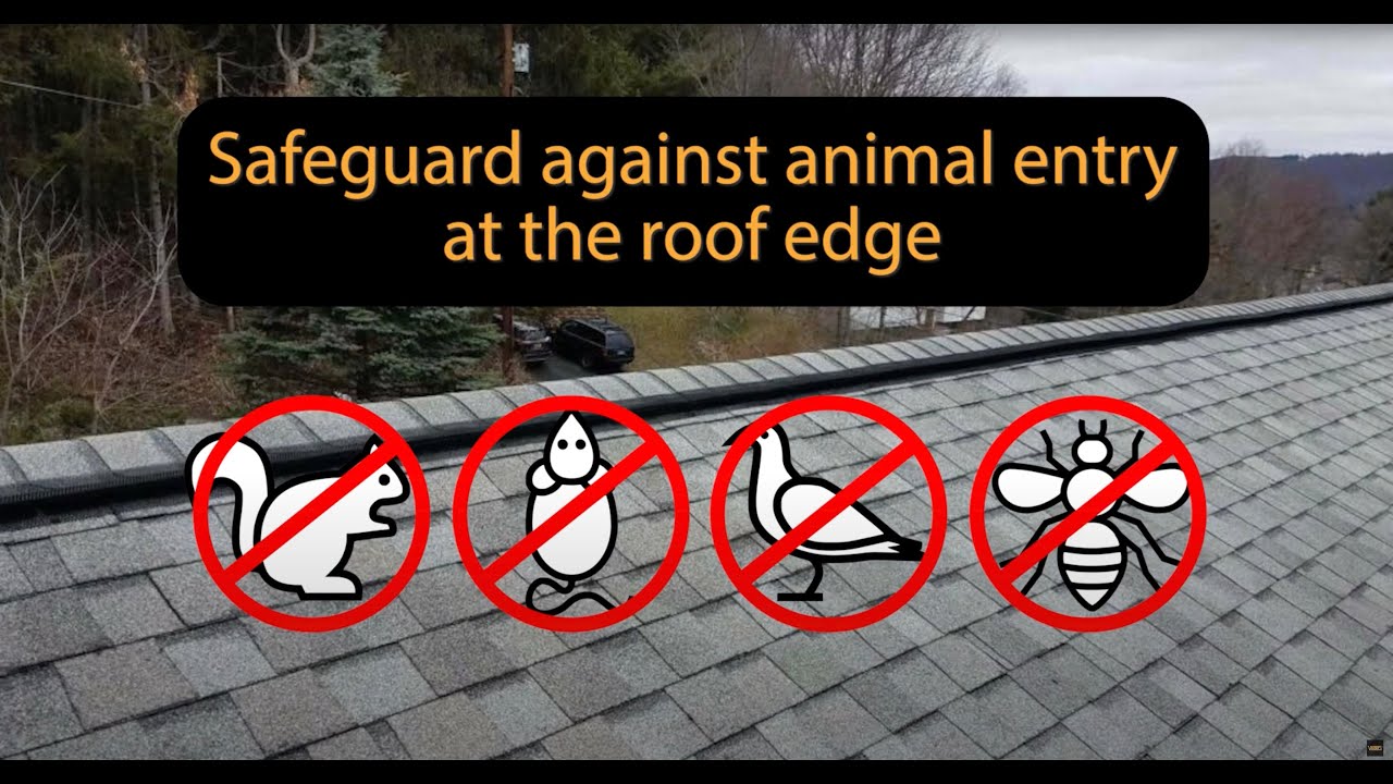 Certified Ridge-Guard© Installer: Varment Guard Wildlife Services ...