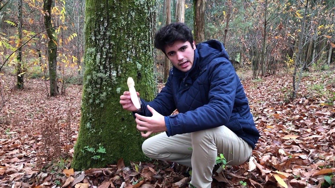 The stinky one - YouTube