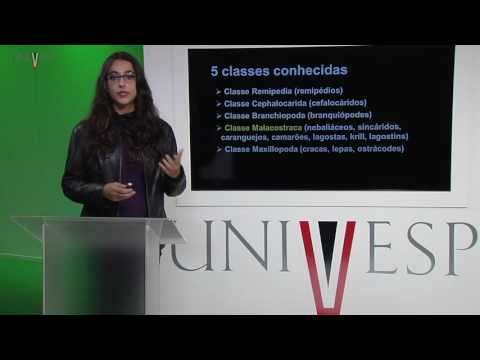 Zoologia de Invertebrados - Aula 21 - Filo Arthropoda: Crustacea