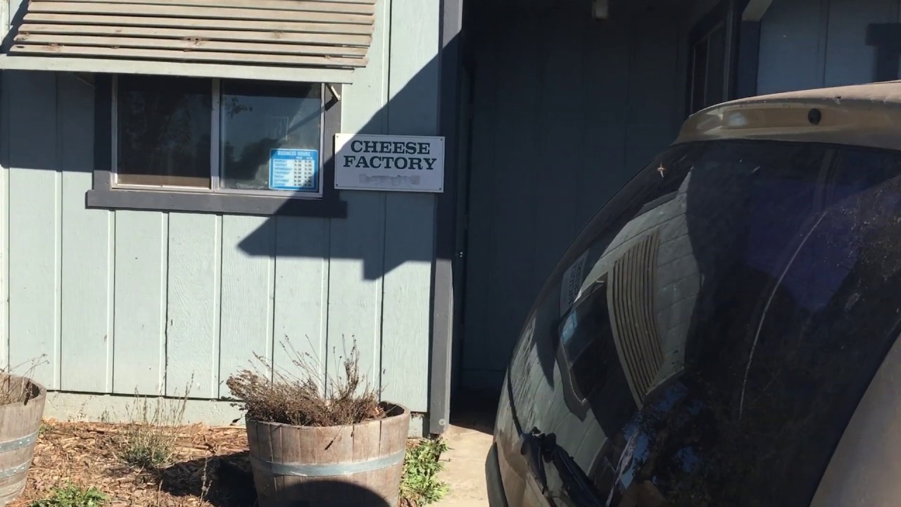 Matos Cheese Factory Part 4 - THE CHEESE! - YouTube