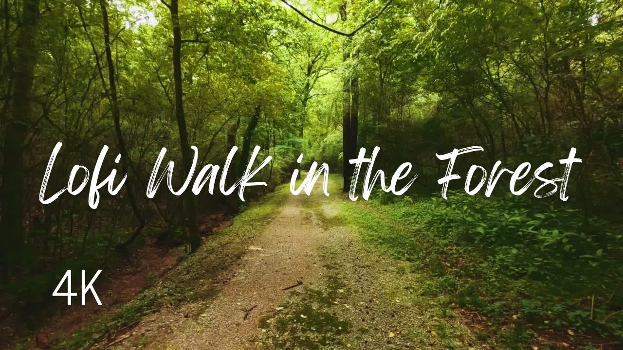 Walk with me in the Forest with Laid-Back Lofi Hip Hop | 1 Hour | Relax ...