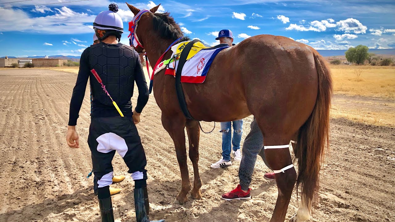 Carrera Muy Apretada! El Secretariat Vs La Pilinga | Tapias Race Trak ...