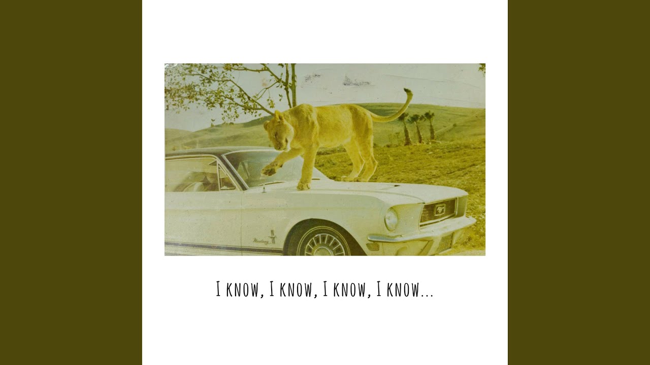 Wikipedia Early Life Bios - YouTube