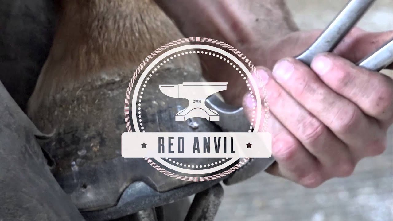 Red Anvil Intro - YouTube