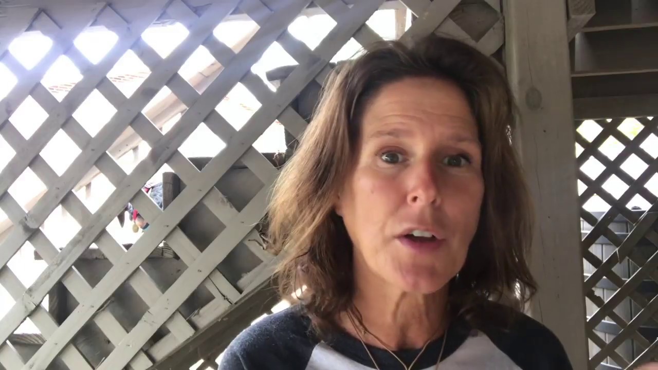 what i learned from ISOD and a little about how i work with clients ...