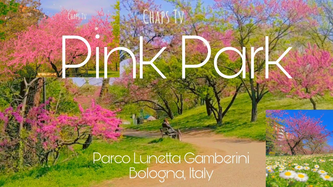 Pink Park in Italy #bologna #travelitaly #italy #parktour #travel # ...