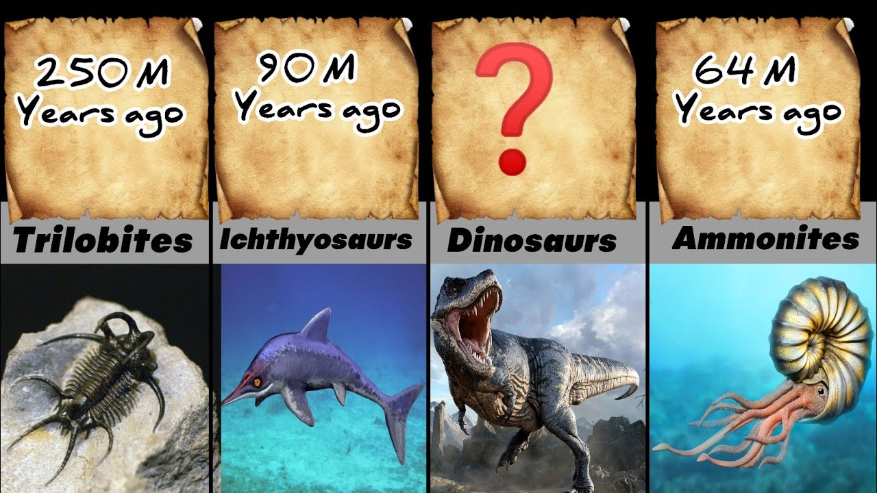 Comparison :Early Earth Extinct Animal. - YouTube