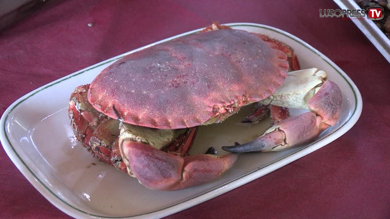 Uma Marisqueira que já vai na quarta geração - YouTube