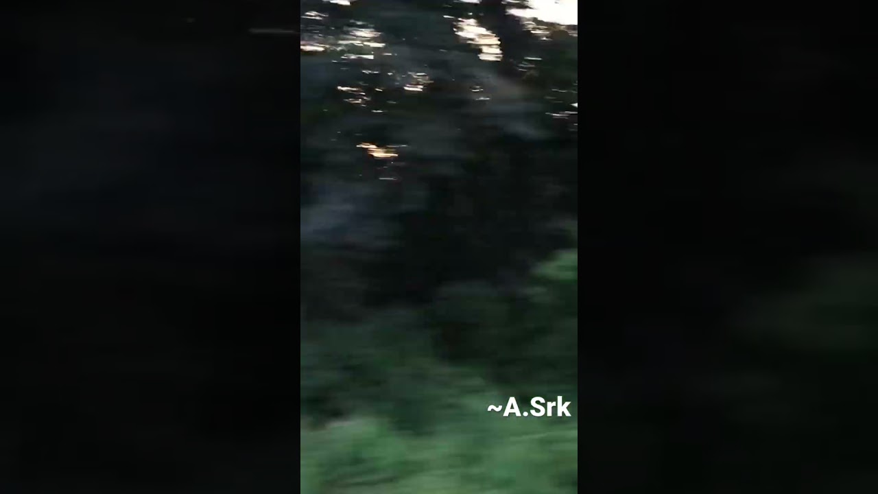 Passing through Nagrakata Forest-NJP - YouTube